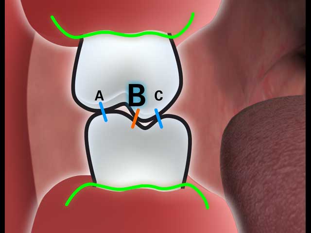 ABC Contacts | Denta Beaute Zahnmedizin